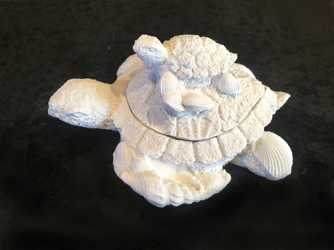 Adorable Sea Turtle Trinket Box Ready to Paint. - Etsy