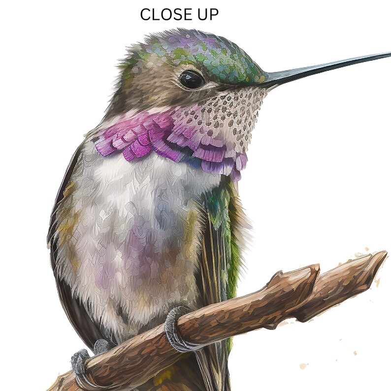 Stained Glass Hummingbird Window Stickers, Anti Bird Strike, Set of 6 ...