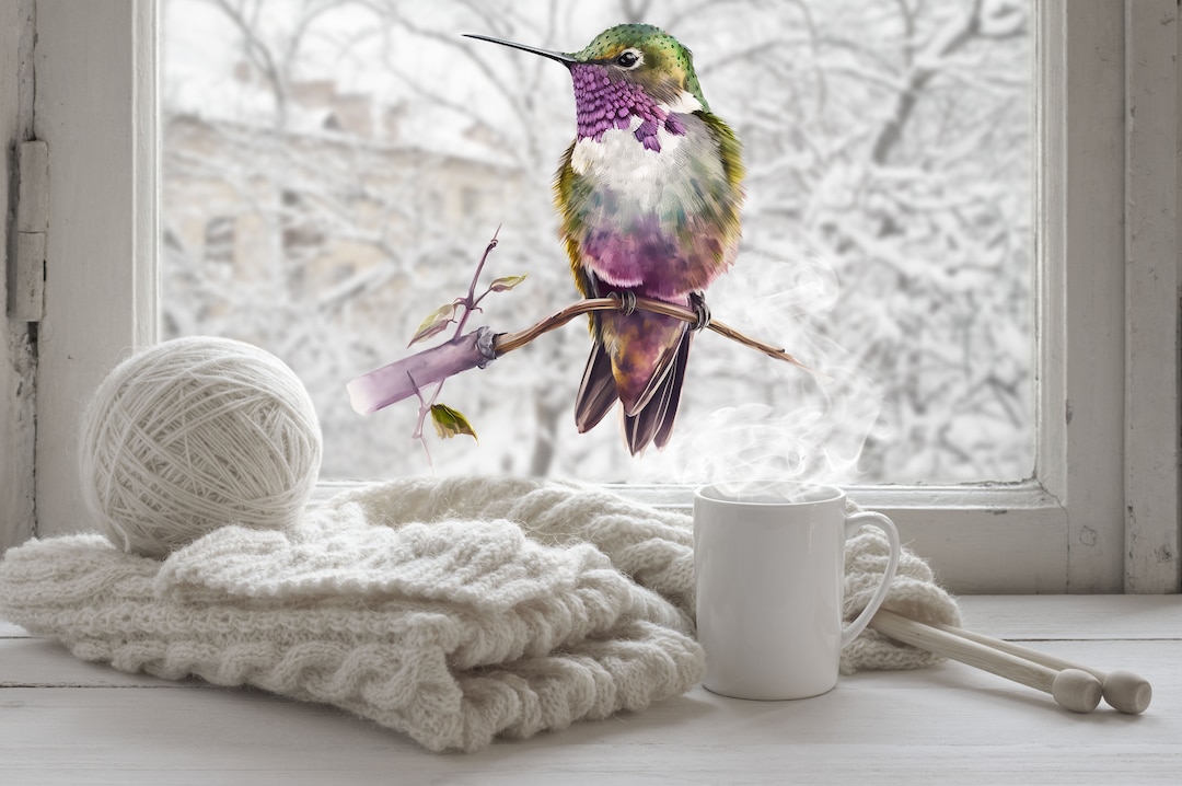 Hummingbird Window Stickers, Anti Bird Strike Window Stickers, Double ...