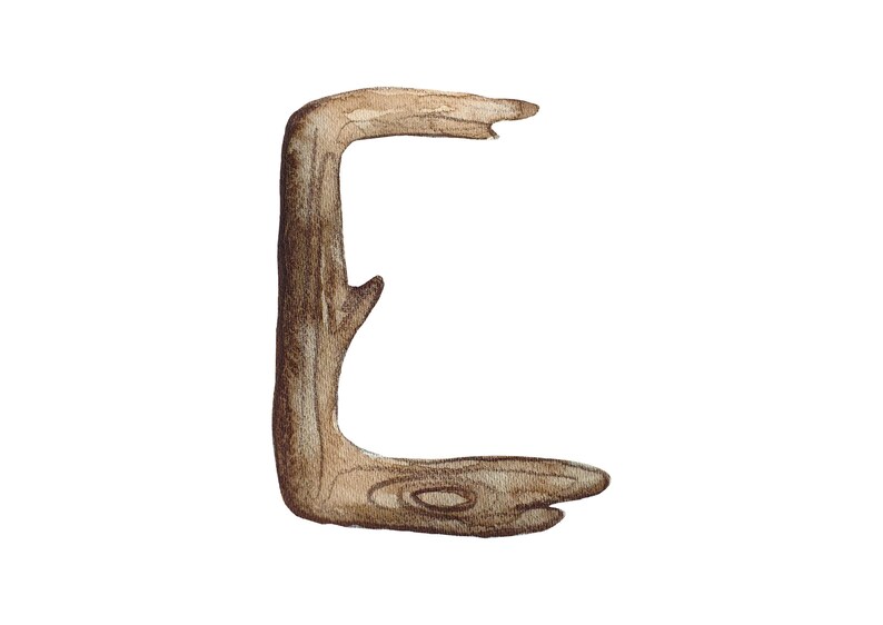 Woodland Name Decal/woodland Nursery Decor/woodland | Etsy