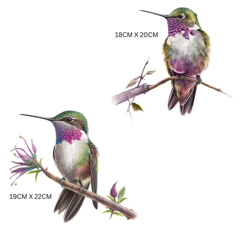 Stained Glass Hummingbird Window Stickers, Anti Bird Strike, Set of 6 ...