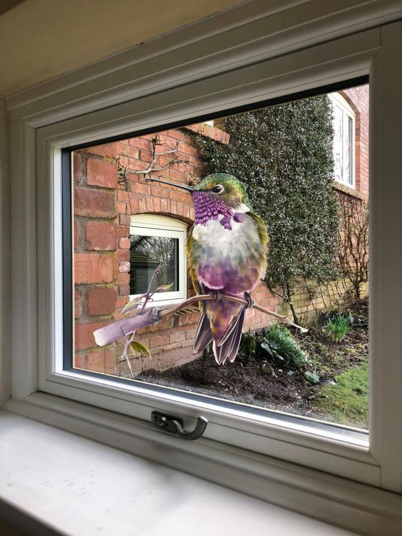 Stained Glass Hummingbird Window Stickers, Anti Bird Strike, Set of 6 ...