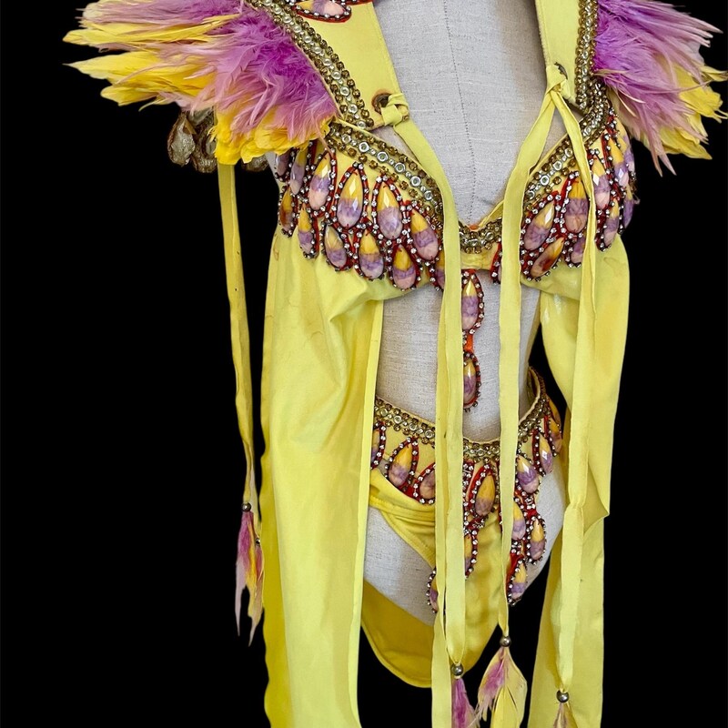 Samba Costume - Etsy