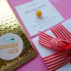 Funny Stocking Filler | Novelty Christmas Gift | Merry Ducking ...