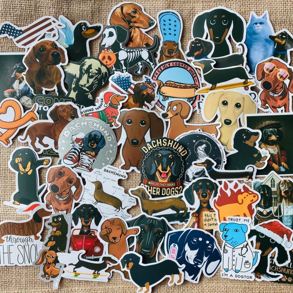 VSCO Sticker Pack Water Bottle Stickers 50 / 25 Pack Dachshund Stickers ...