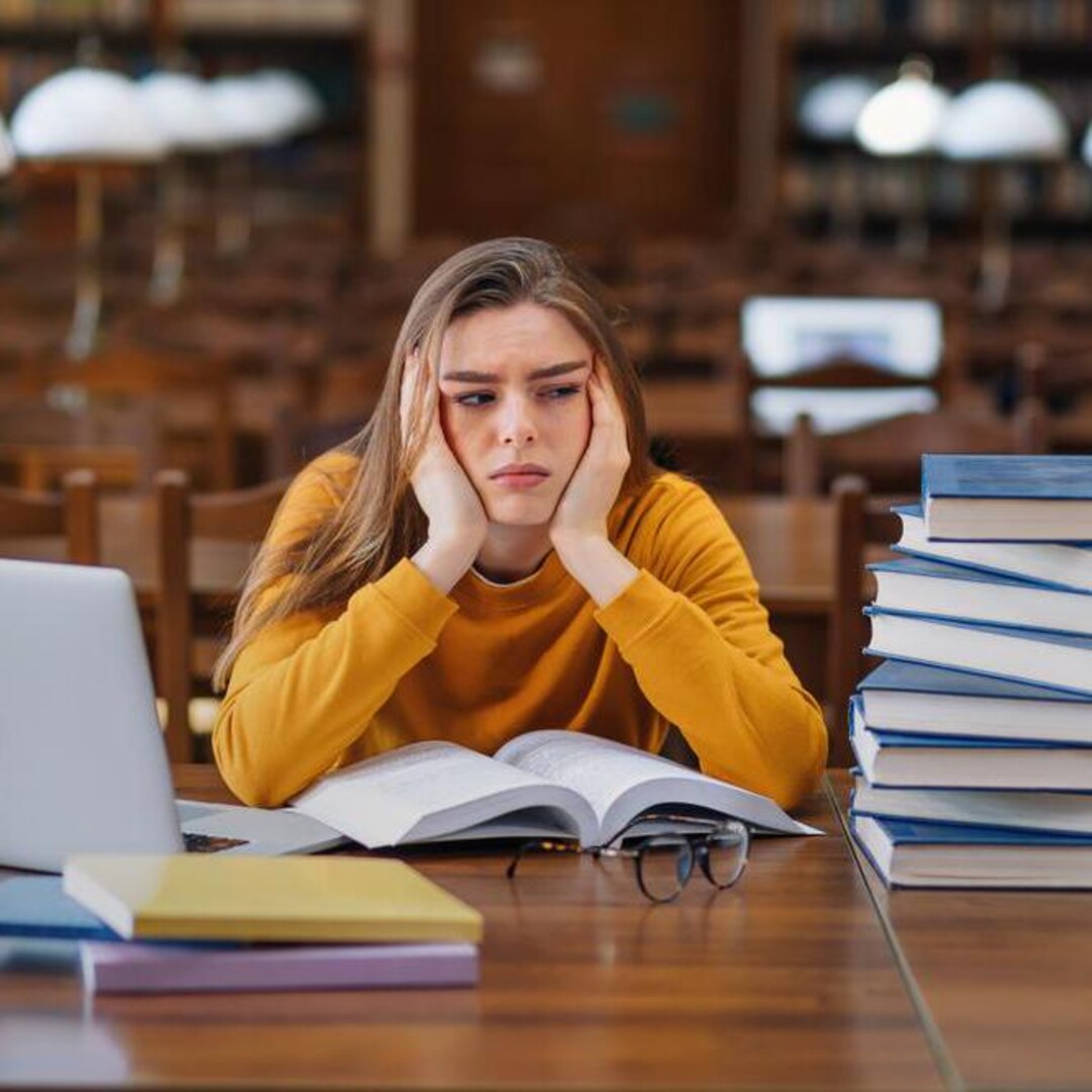 Academic Assignment Writing , Templates & Study Guides | Report , Essay ...