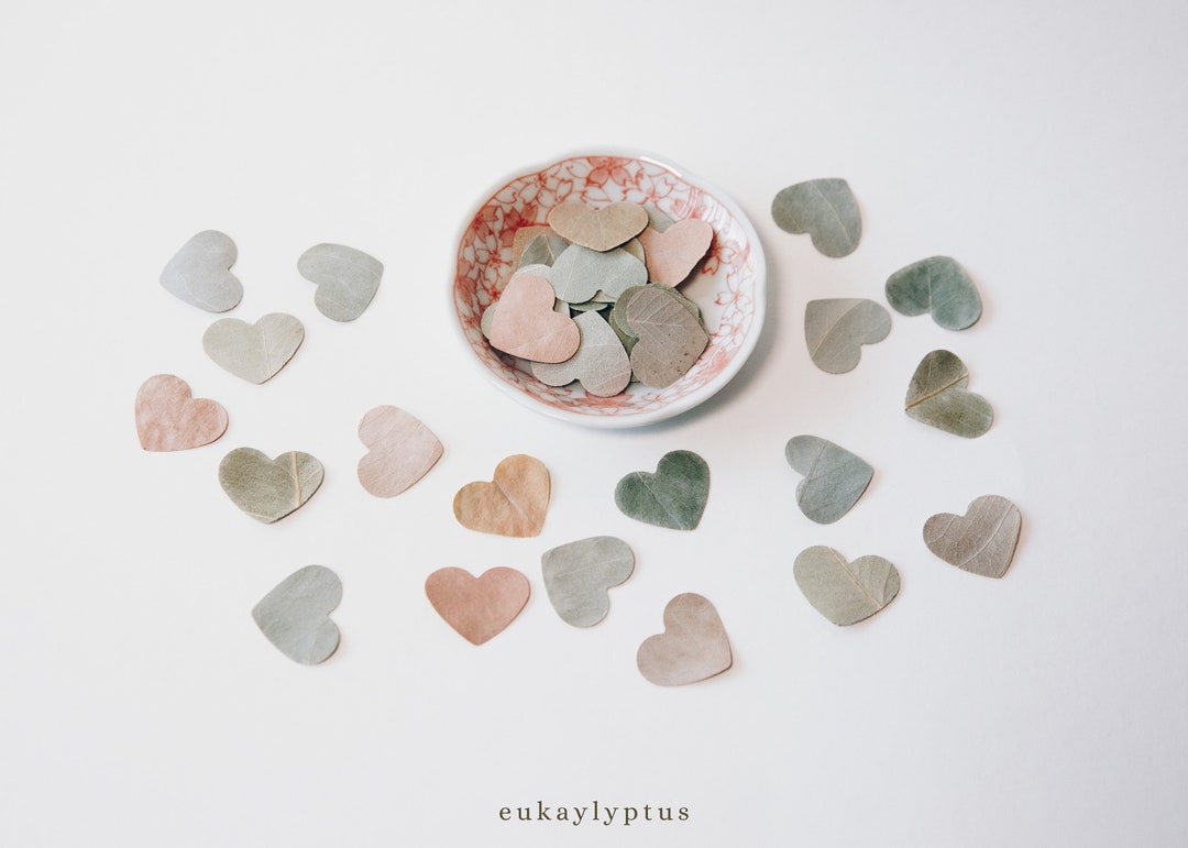 Eucalyptus Heart Punched Confetti | Eco-friendly Table Scatter - Etsy