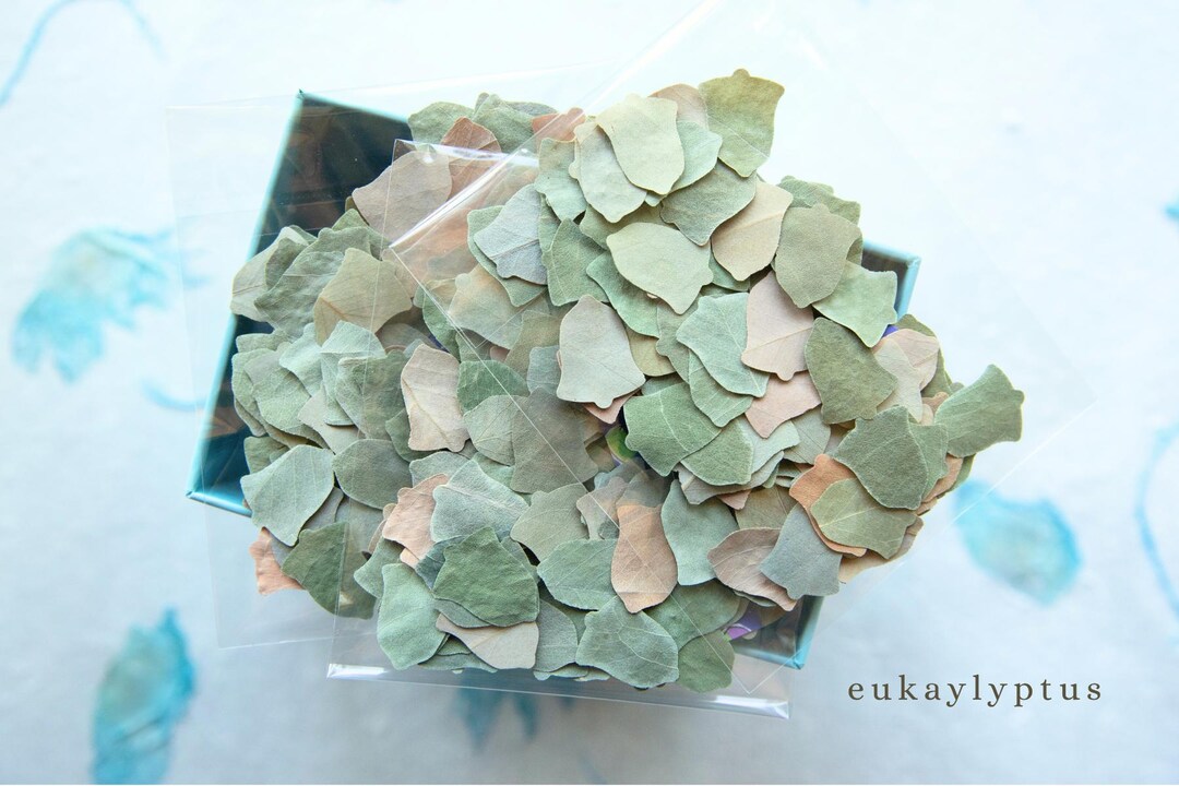 Bell-shaped Eucalyptus Confetti | Biodegradable Table Scatter - Etsy