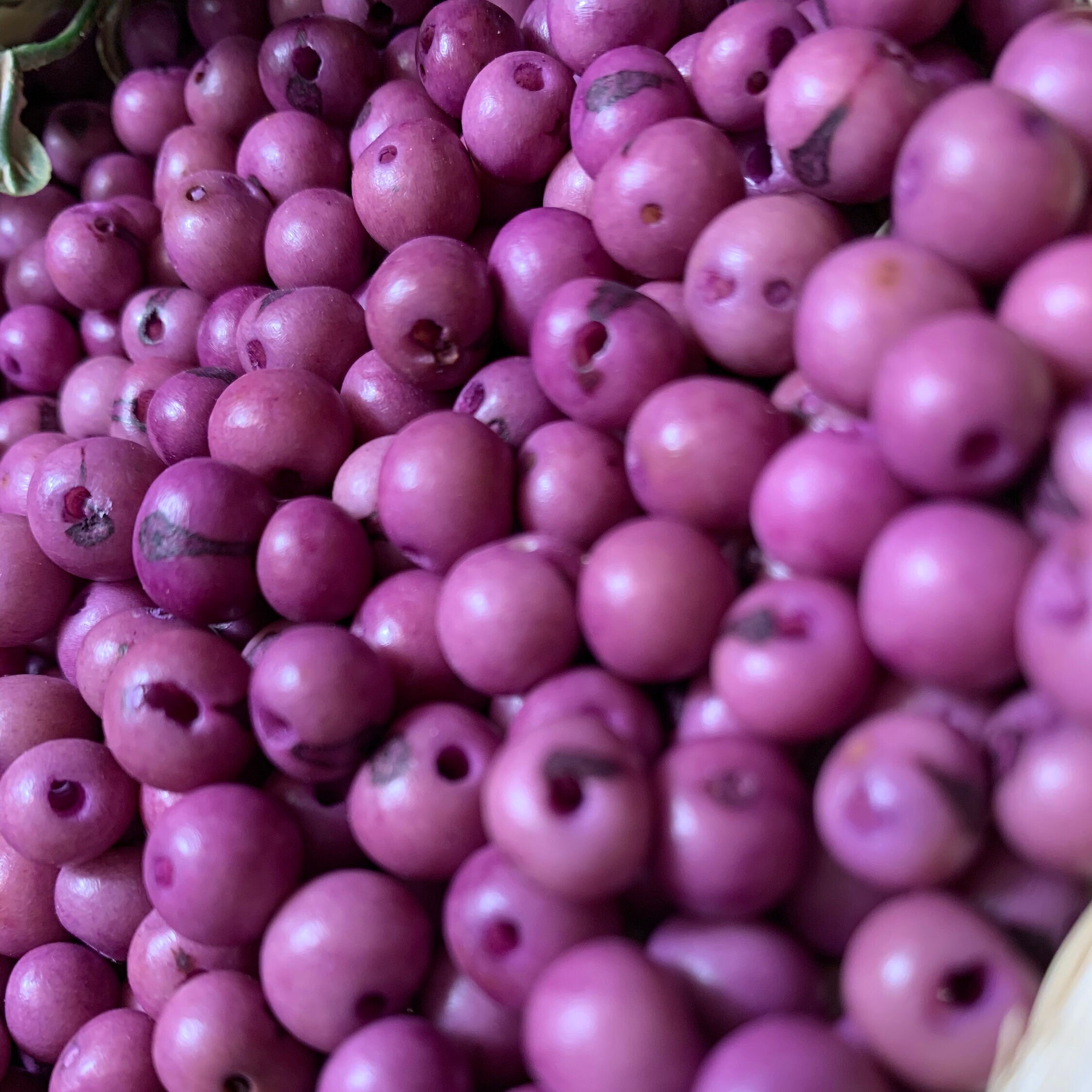 Amazonian Beauty: Lilac Eco-friendly Açaí Seeds for Sustainable DIY Bio ...