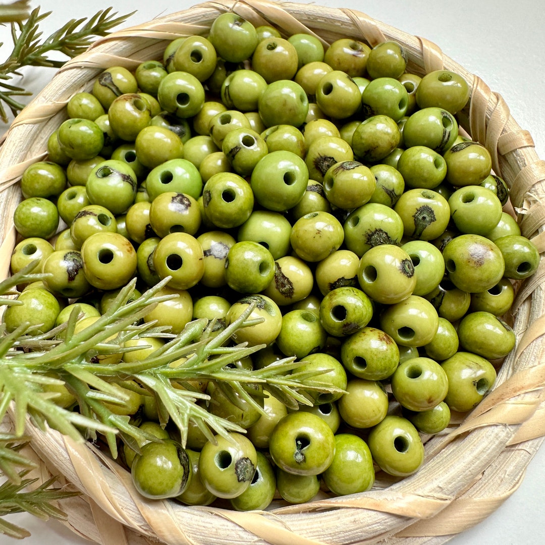 Amazonian Beauty: Top Premium Light Green Eco-friendly Açaí Seeds for ...