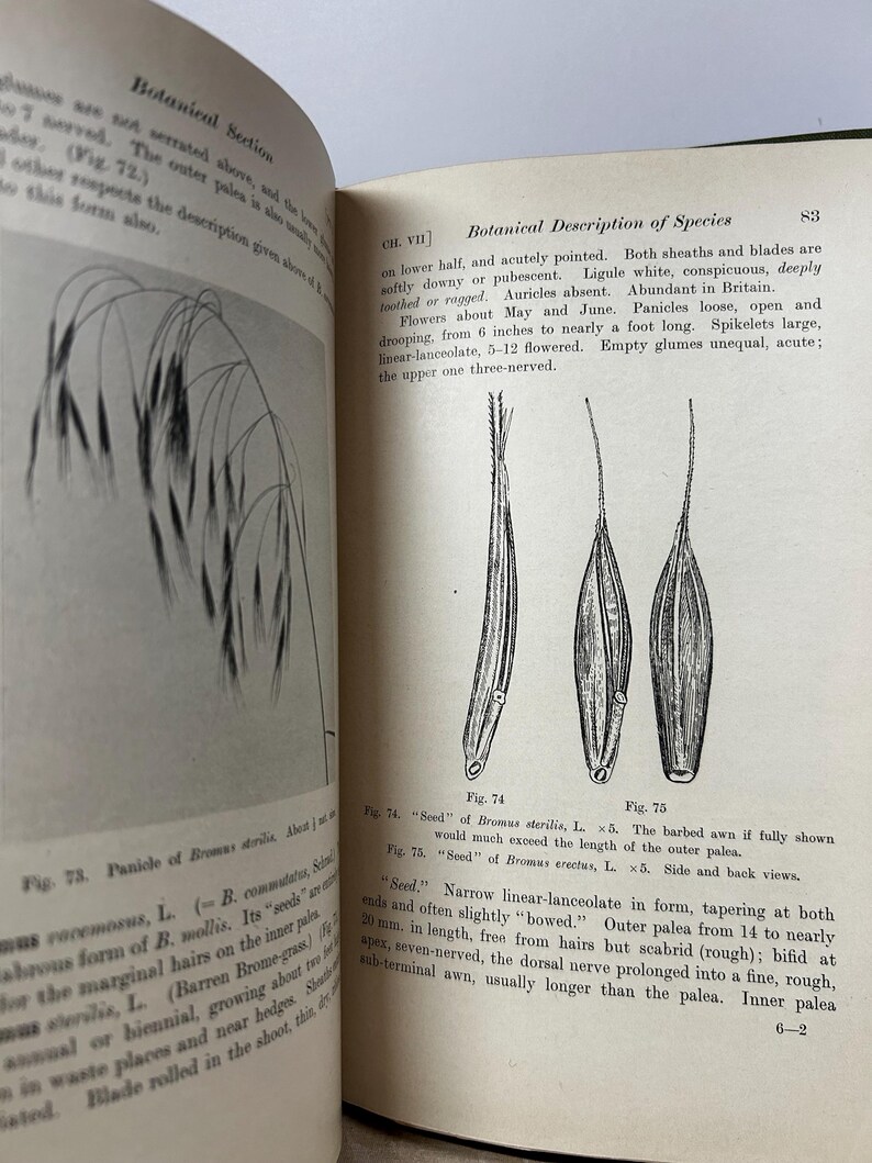 1917 British Grasses and Their Employment in Agriculture by Armstrong ...