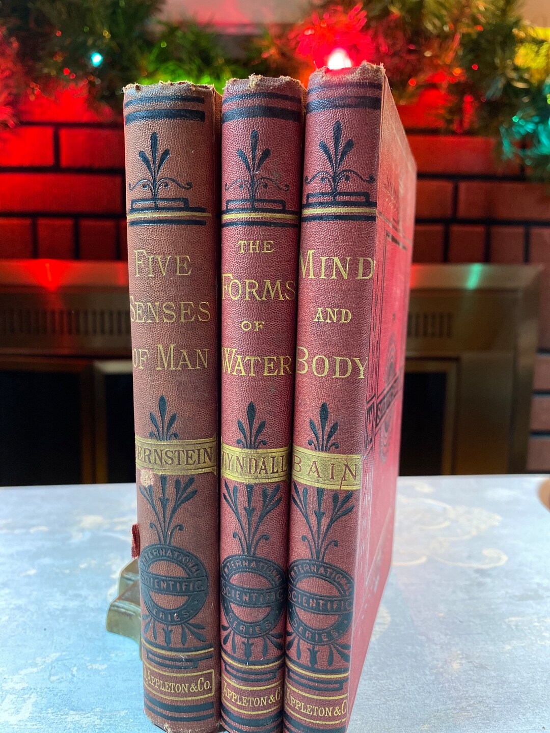 1879 Set of 3 Red Illustrated Vintage Scientific Textbooks - Etsy