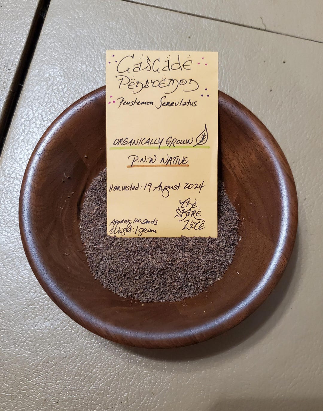 Cascade Penstemon Seeds - PNW Native - Etsy