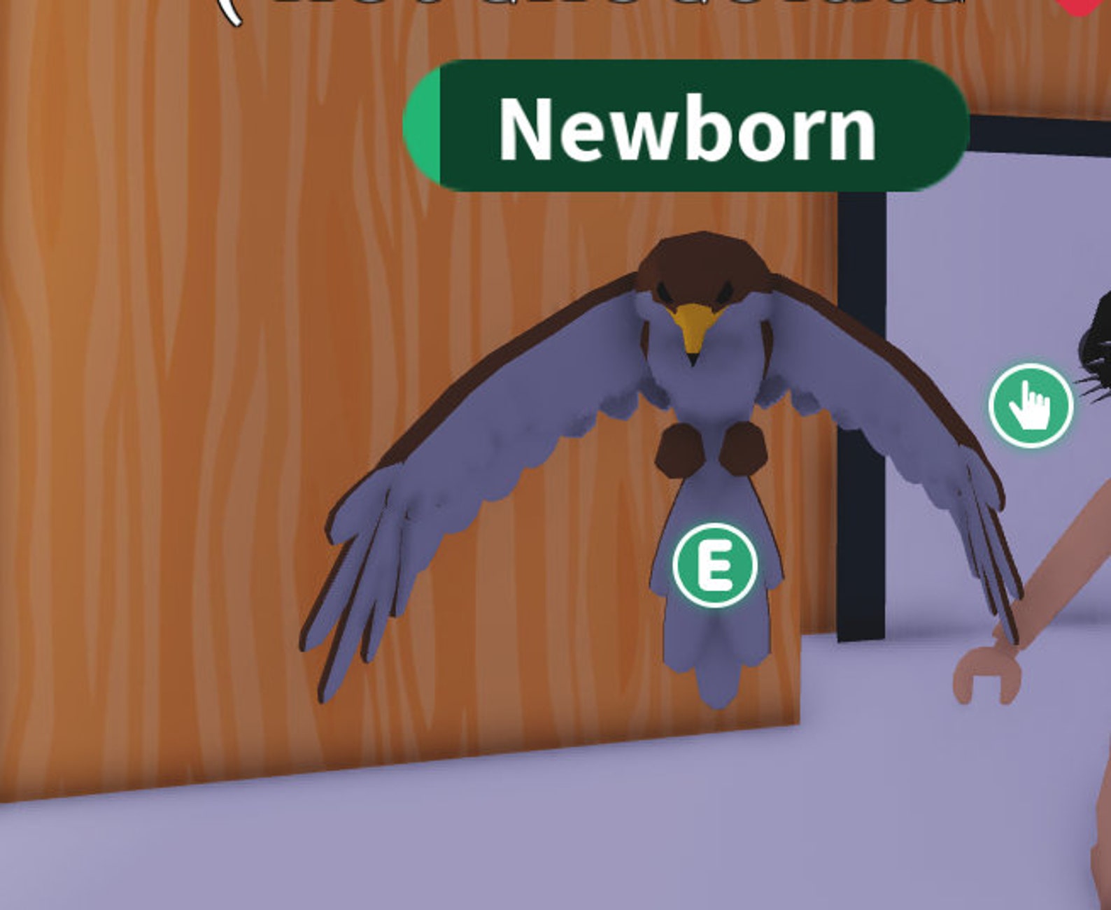 Adopt Me Hawk - Etsy