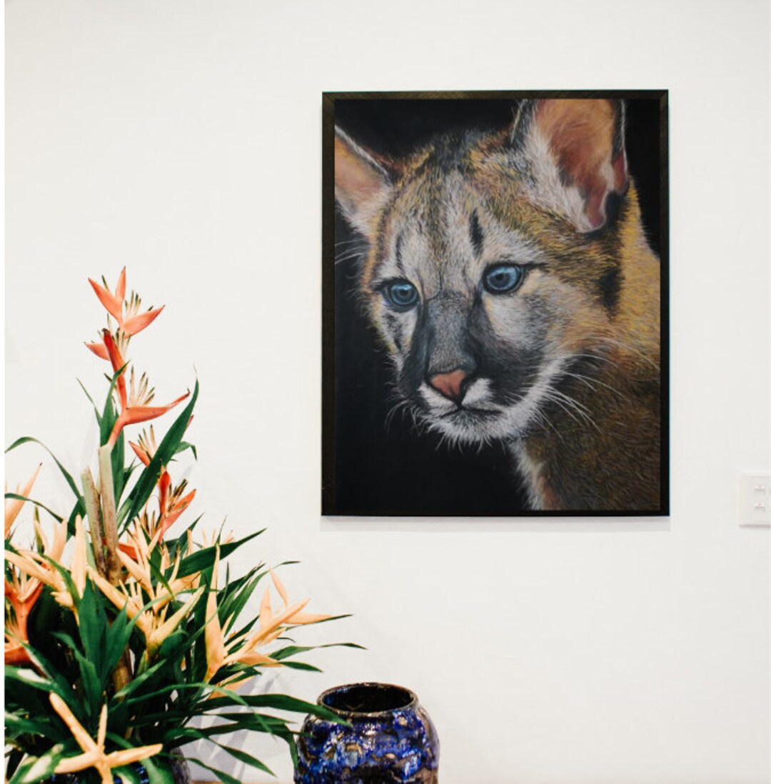 Puma Cub Art Print of Original Pastel Art A4 Size Wall Art Wildlife - Etsy