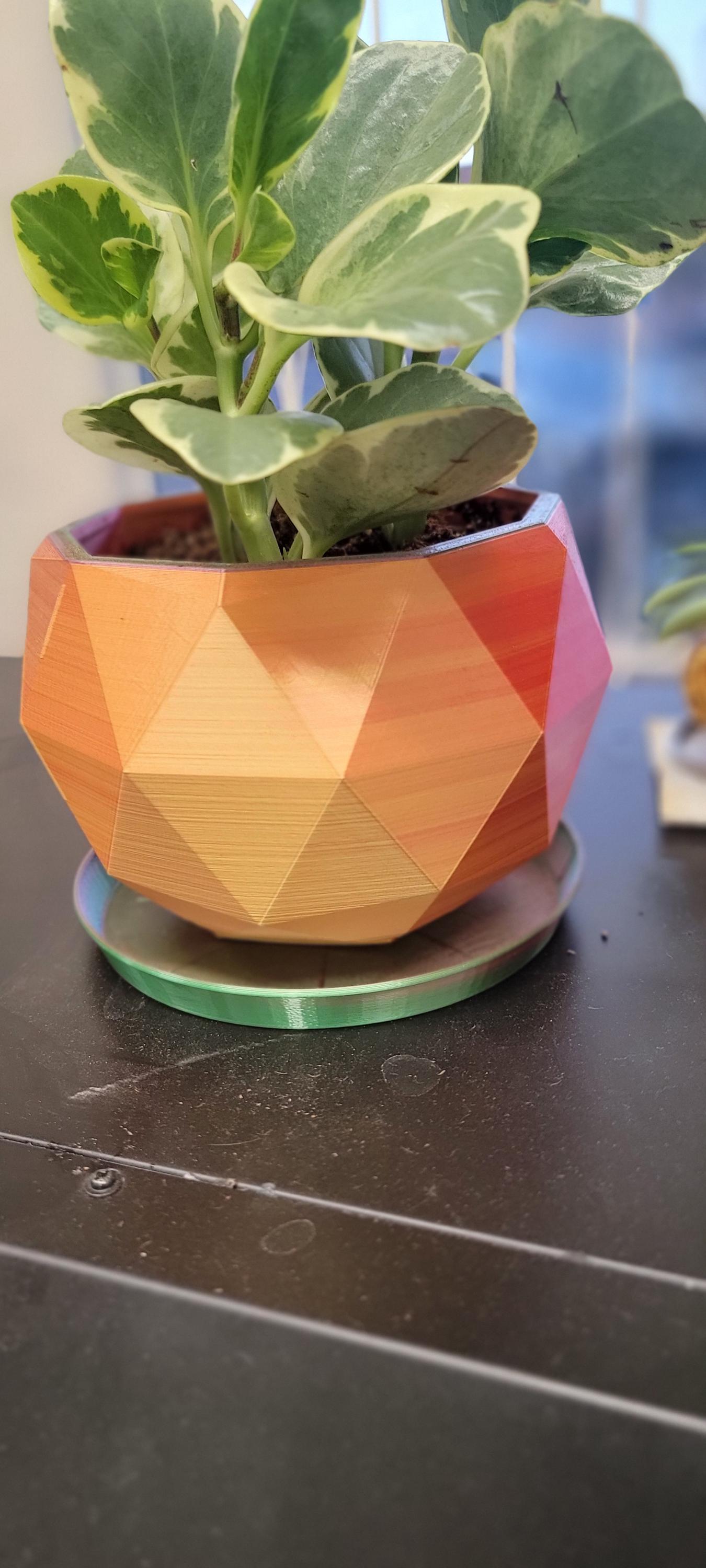 Two Tone Stylish Planter 3D Printer - Etsy