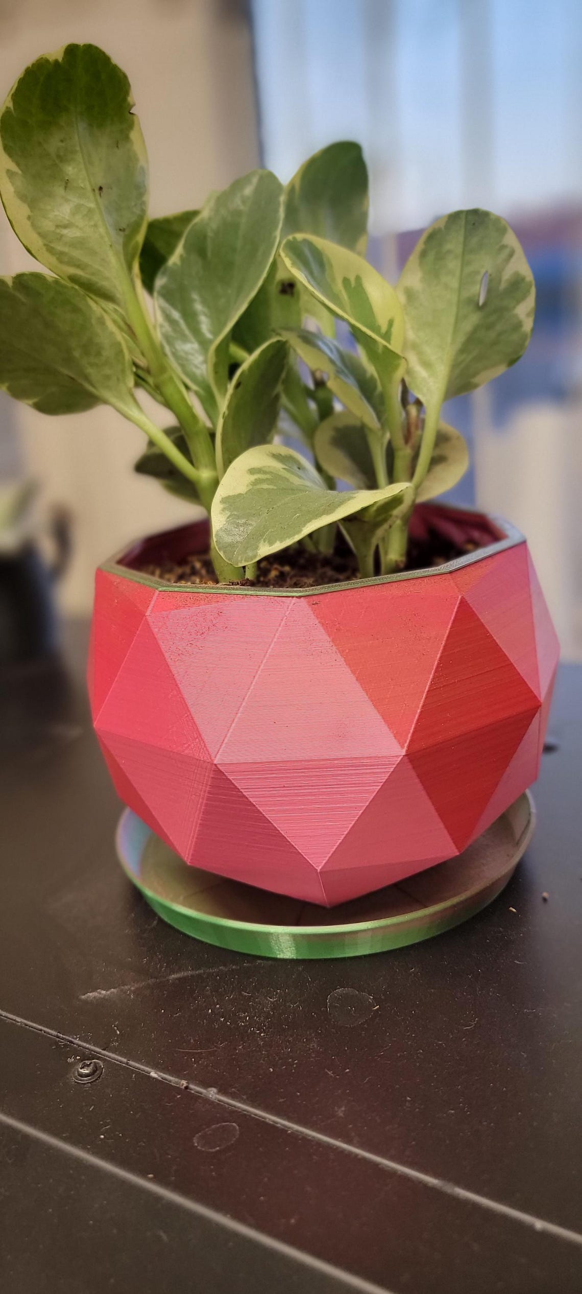 Two Tone Stylish Planter 3D Printer - Etsy