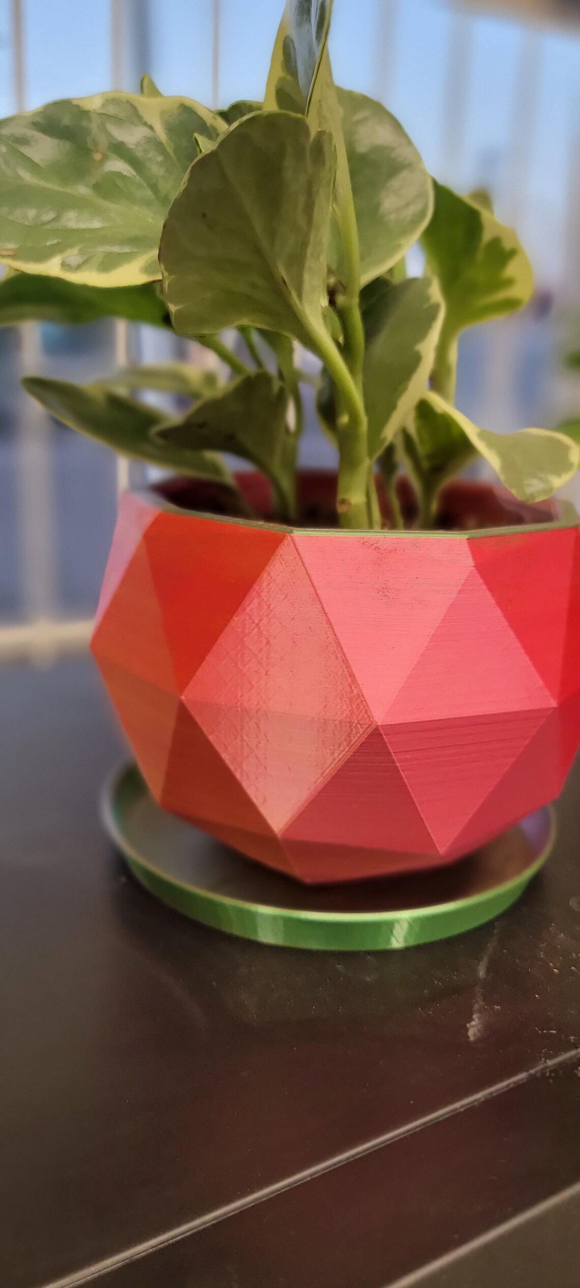 Two Tone Stylish Planter 3D Printer - Etsy