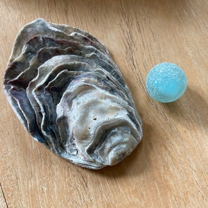 OYSTERS AND PEARLS | Mini Oyster Shell | Aqua Mini Sea Glass Marble ...