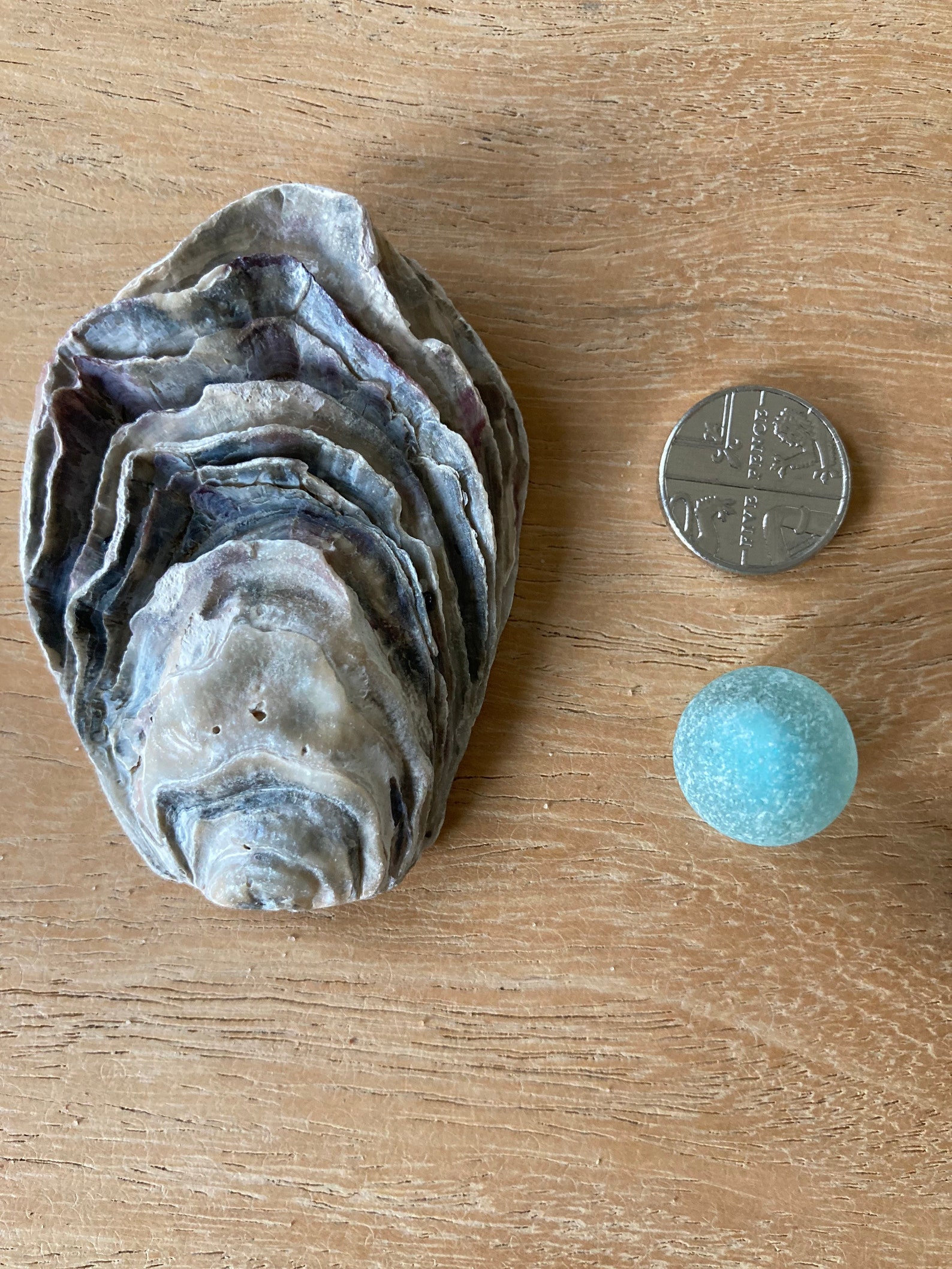 OYSTERS AND PEARLS | Mini Oyster Shell | Aqua Mini Sea Glass Marble ...