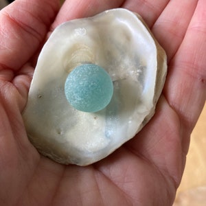 OYSTERS AND PEARLS | Mini Oyster Shell | Aqua Mini Sea Glass Marble ...