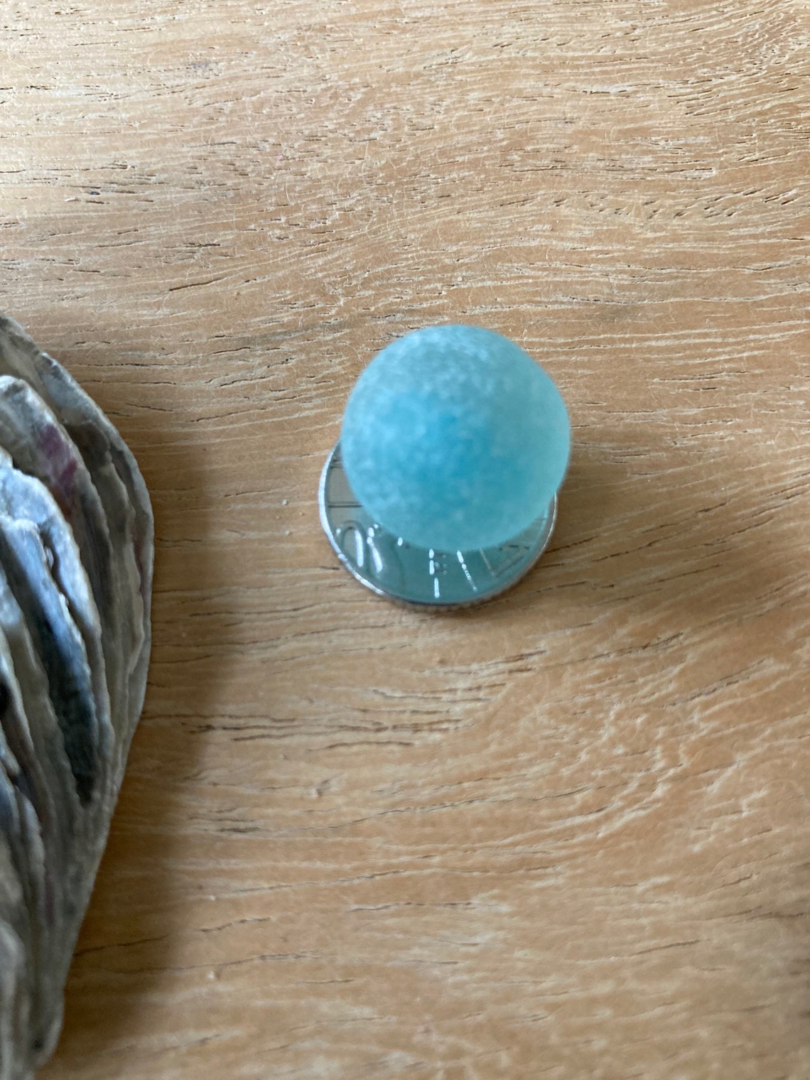 OYSTERS AND PEARLS | Mini Oyster Shell | Aqua Mini Sea Glass Marble ...