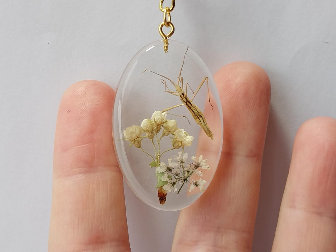Beetle Keychain, Real Beetle Handmade Nature Jewelry, Eco Art, Bag ...