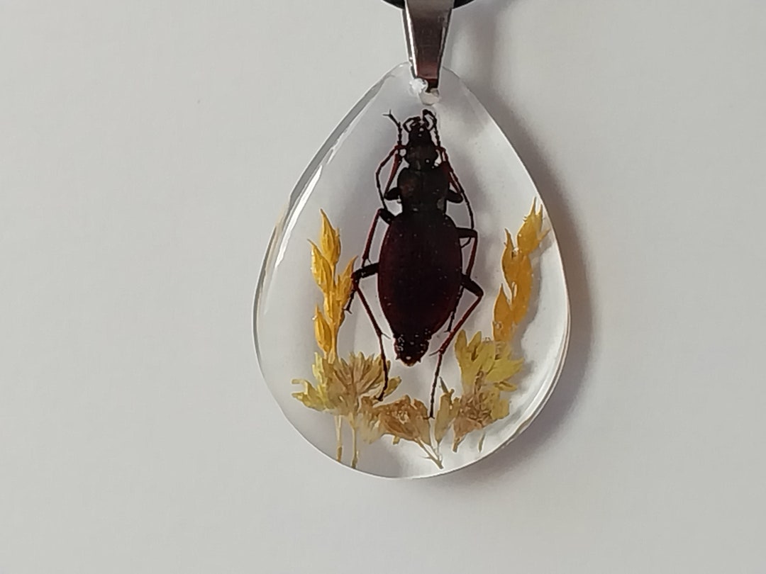 Beetle Pendant Necklace Real Rare Beetle Necklace Handmade - Etsy
