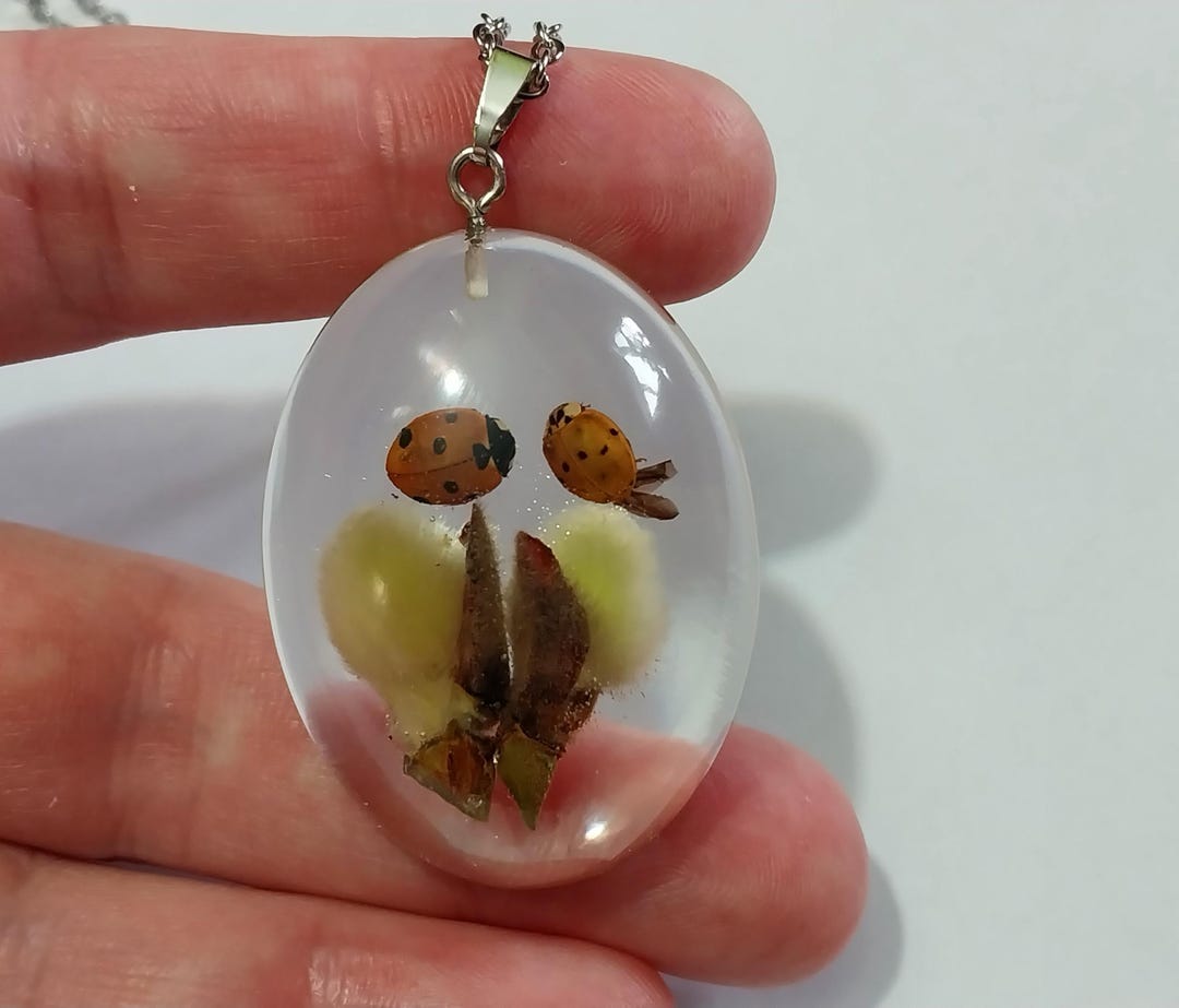 Ladybug Necklace, REAL Ladybugs on the Flowering Willow Buds Pendant ...