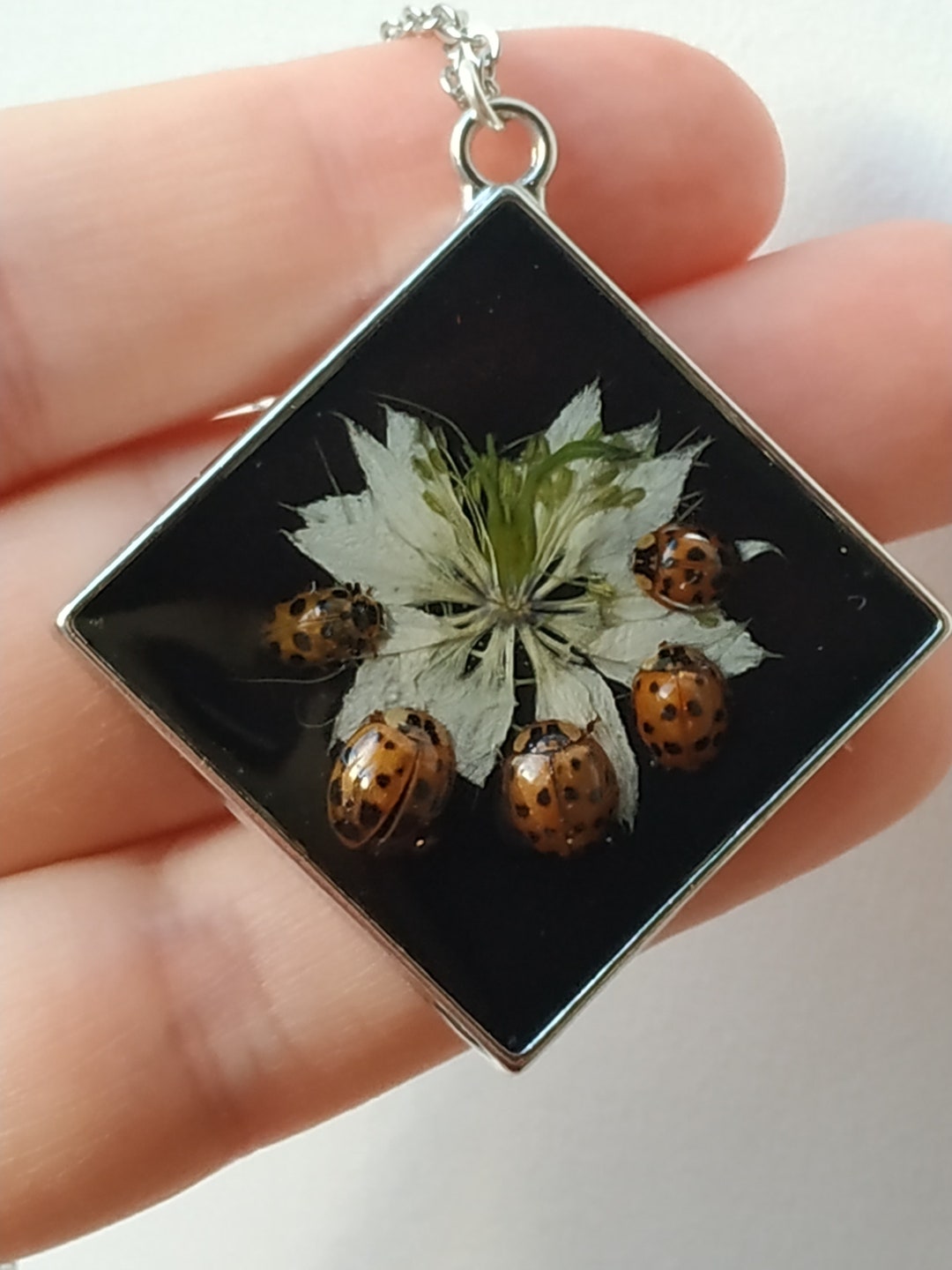 Lady Bird Necklace Real Lady Bug on a Flower Resin Pendant - Etsy