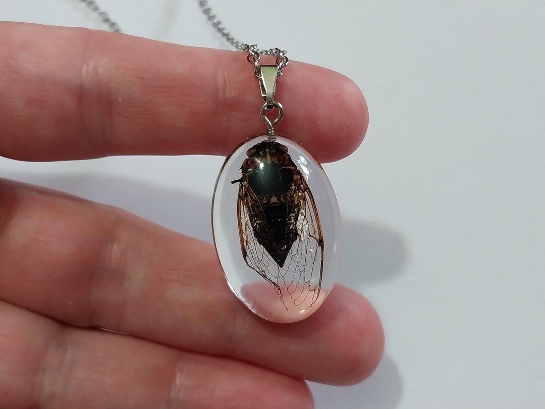 Cicada Necklace, REAL Cicada Pendant Necklace, Handmade Epoxy Resin ...