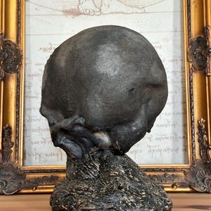 The Knowledge of the Alaric - Skull - Etsy