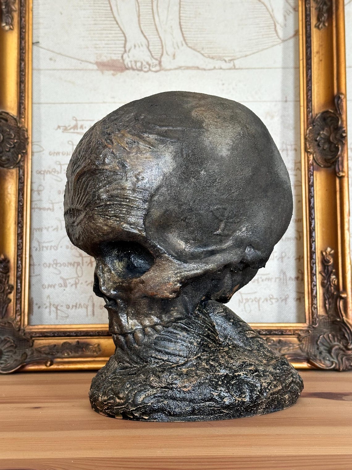 The Knowledge of the Alaric - Skull - Etsy