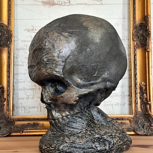 The Knowledge of the Alaric - Skull - Etsy