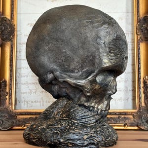 The Knowledge of the Alaric - Skull - Etsy