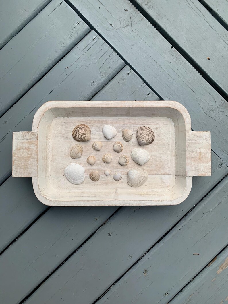 Bulk Clam Shells, 16 Clam Shells Found Along the Shores of Vancouver ...