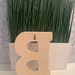 B Wooden Block Letter - Etsy