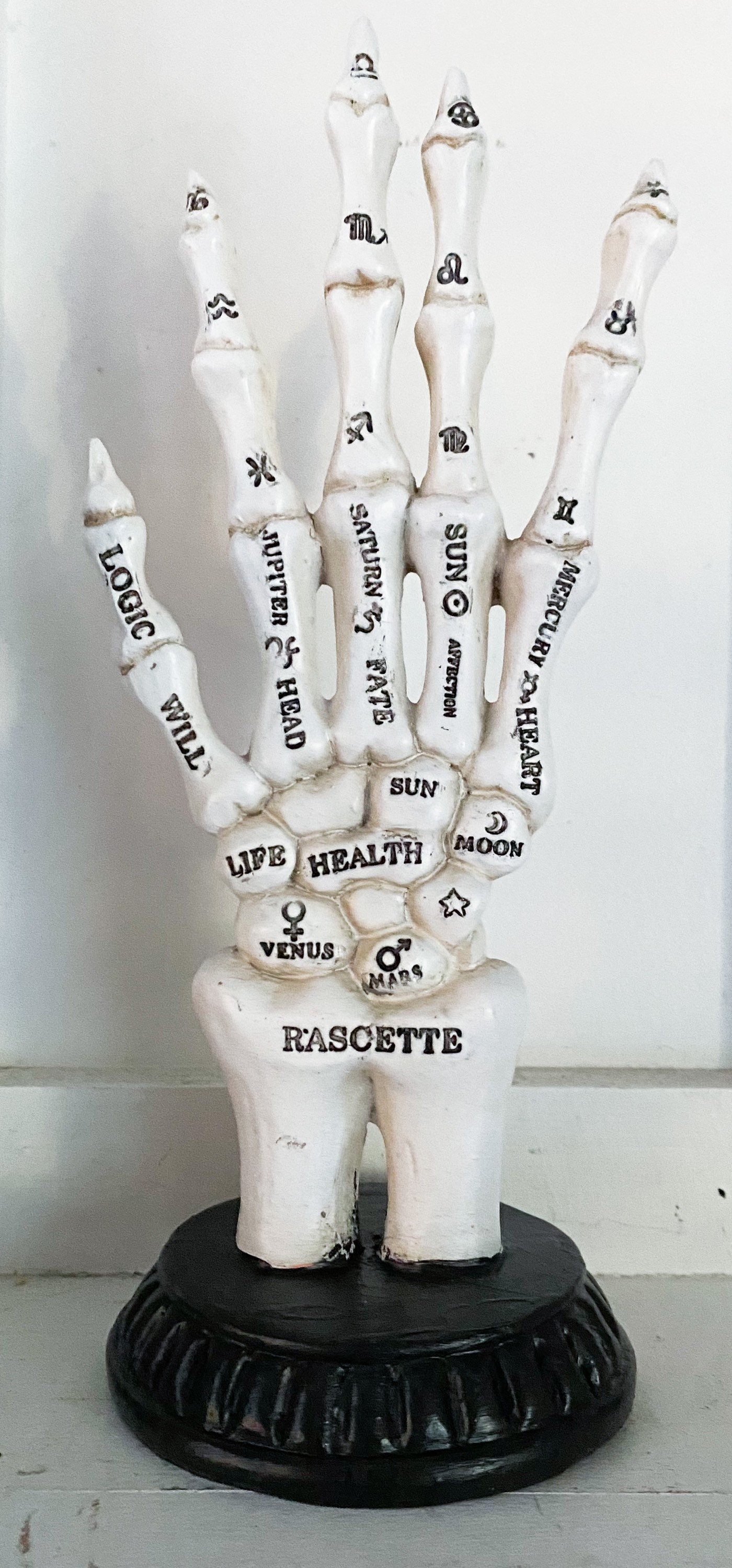 Rascette Palmistry Skeleton Hand Statue Black - Etsy