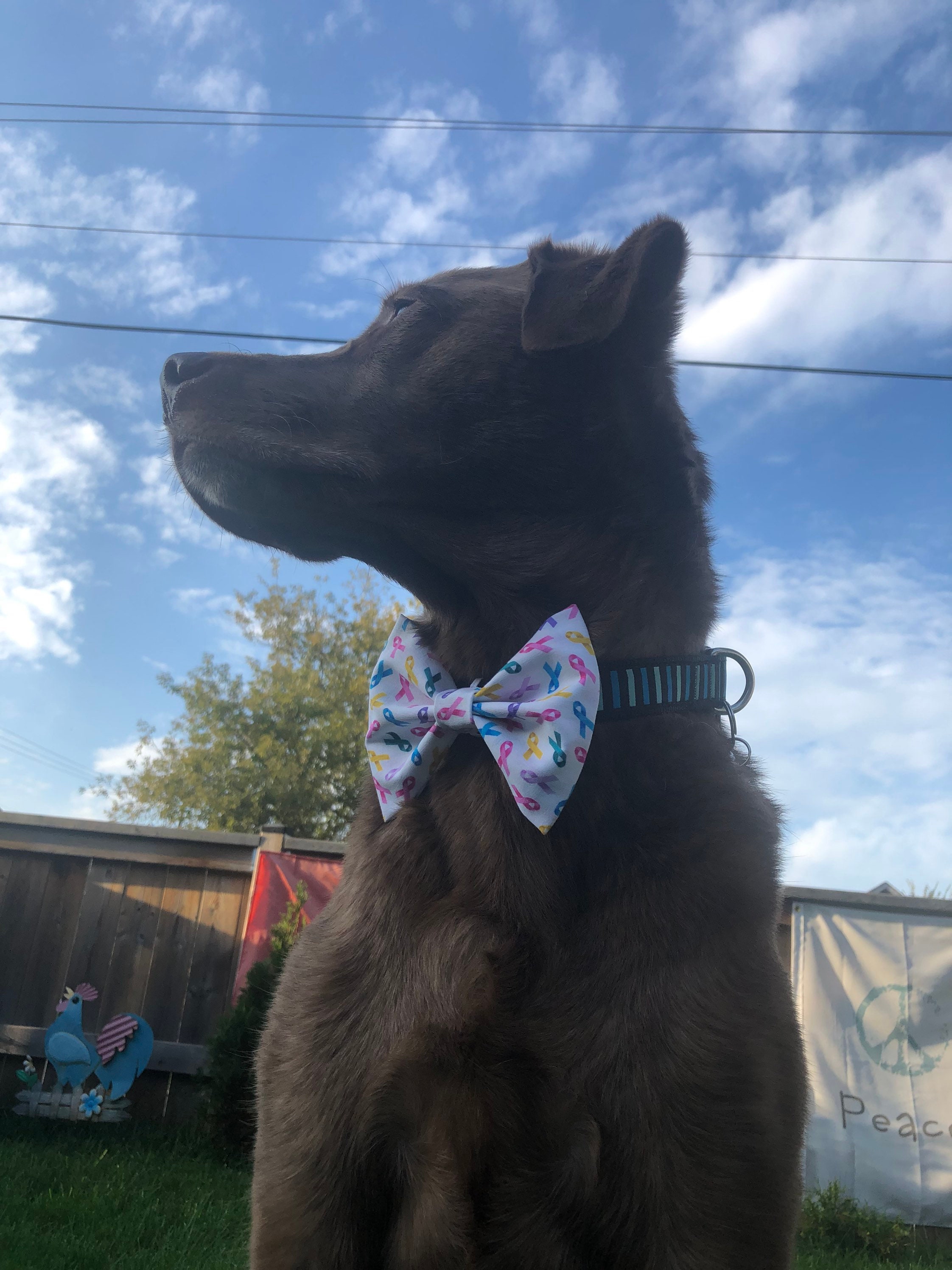 Cancer Ribbon Bow Tie 2 STYLES Dog Bowtie Breast Cancer - Etsy