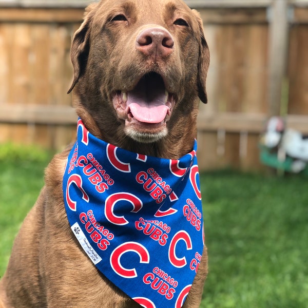Cubs Hat - Etsy