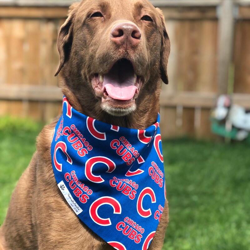 Cubs Hat - Etsy