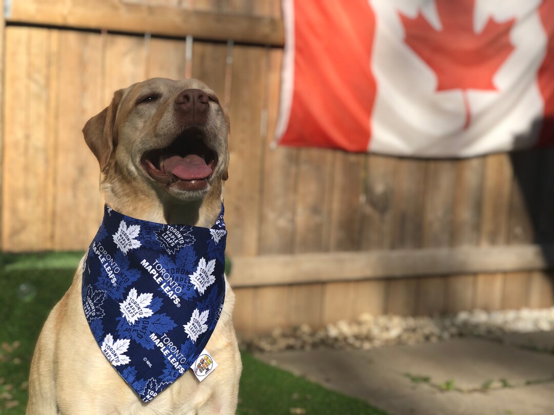 Toronto Maple Leafs Bandana / 3 STYLES /maple Leafs / Dog•cat Bandana ...