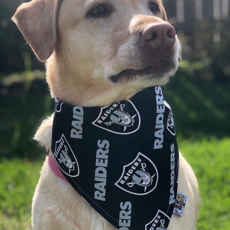 Raiders Shoes - Etsy