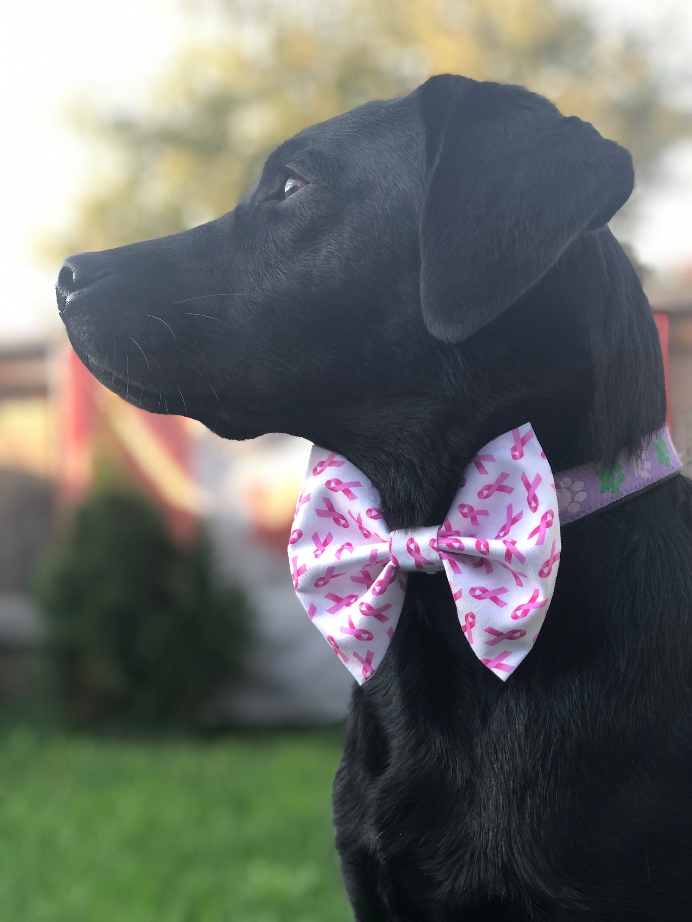 Cancer Ribbon Bow Tie 2 STYLES Dog Bowtie Breast Cancer - Etsy
