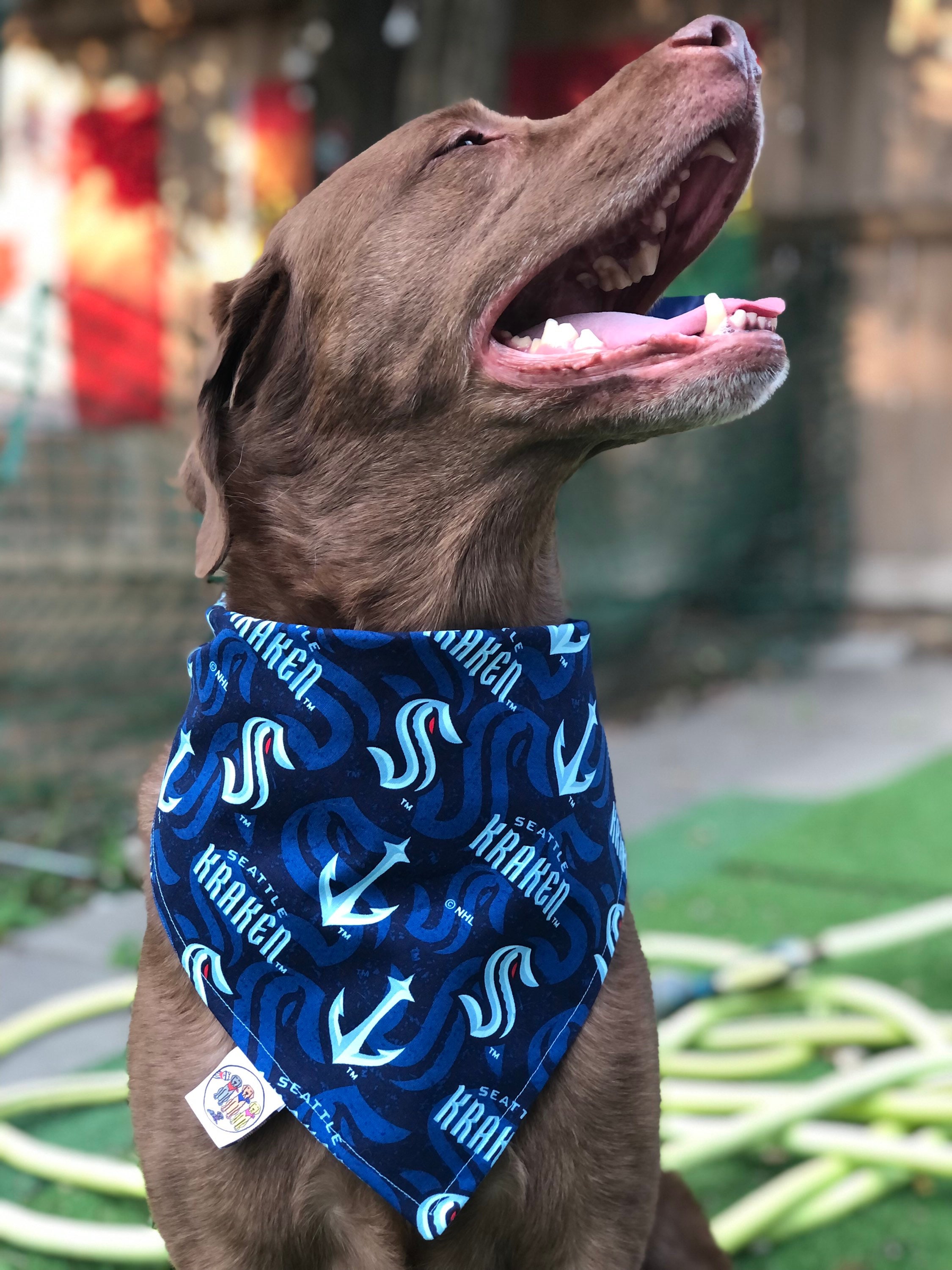 Seattle Kraken Bandana / Seattle Kraken / Dog•cat Bandana / Pet Bandana ...