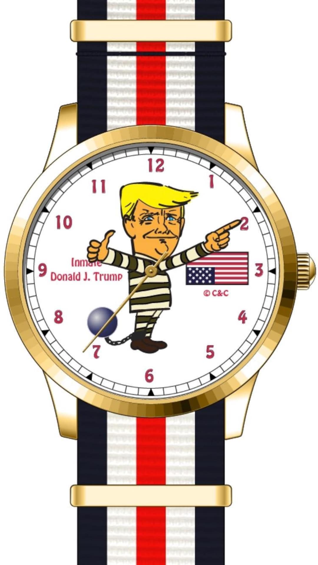 President Donald J. Trump Collectible Jailbird Watch - Etsy