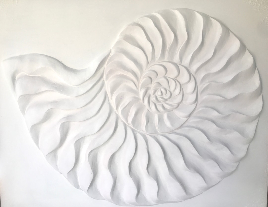 Ammonite,shell,bas Relief, Sculpture Ocean Wall Art,texture White ...