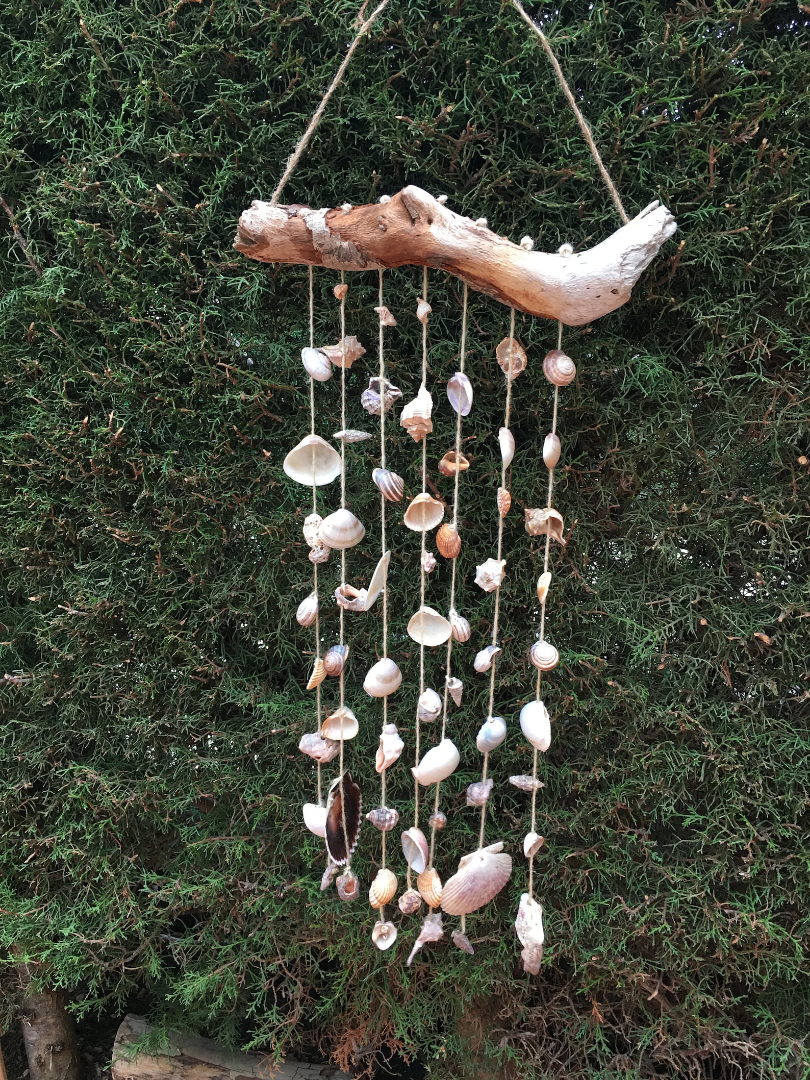 Wind Chimes Boho Natural Seashell Mediterranean Shells Garden Wind ...