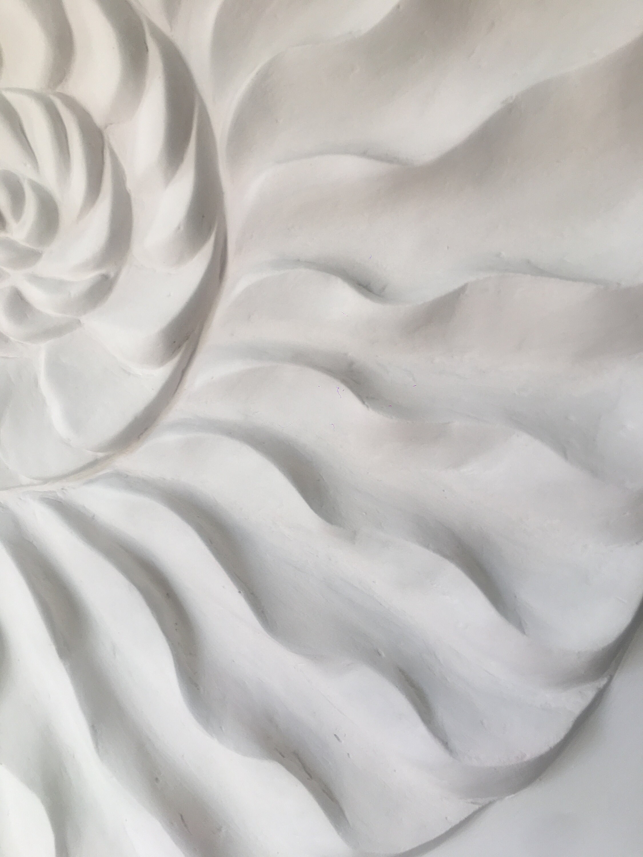 Ammonite Shell Bas Relief, Sculpture Ocean Wall Art, 3D Mural - Etsy