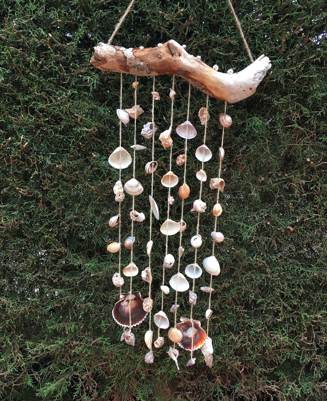 Wind Chimes Boho Natural Seashell Mediterranean Shells Garden - Etsy